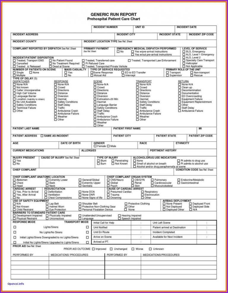 Report Examples Sample Ems Patient Care Reports 17 Chart inside Patient ...